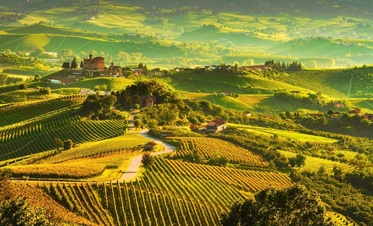 Etlim Travel srl